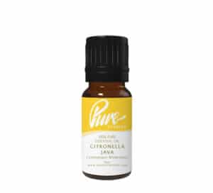 Citronella Java Essential Oil - Pure Scented